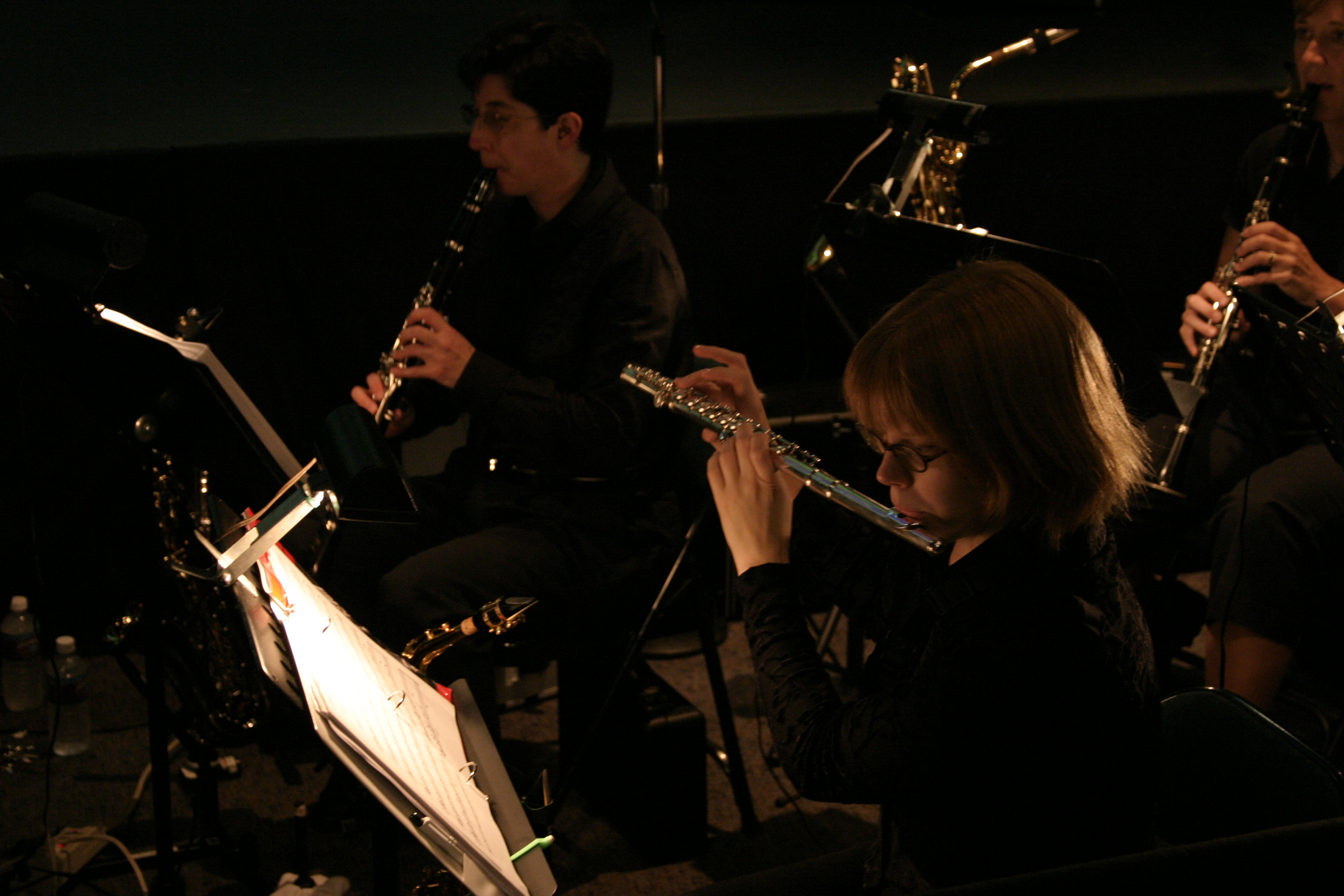 The role of the pit musician in musical theatre | A Good Reed Review